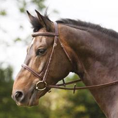 English Horse Bridles - Snaffle, Double, Bitless & More ...
