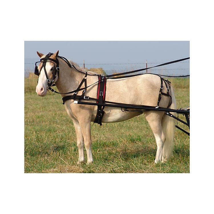Ozark Mini/Pony Nylon Driving Harness – EquestrianCollections