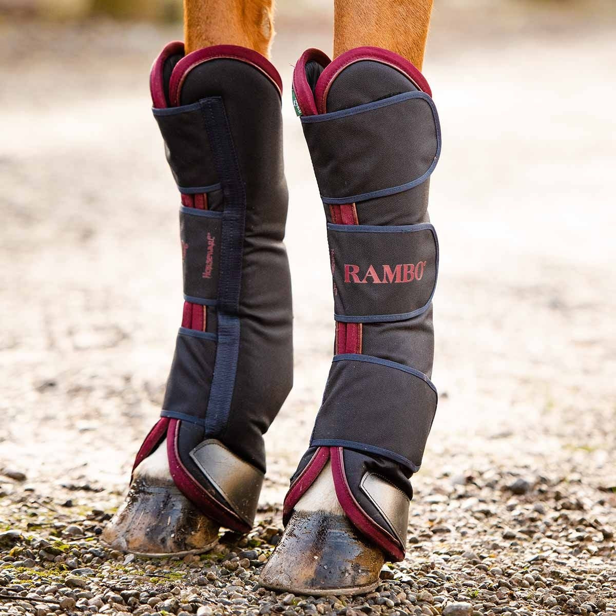 Rambo Travel Boots – EquestrianCollections