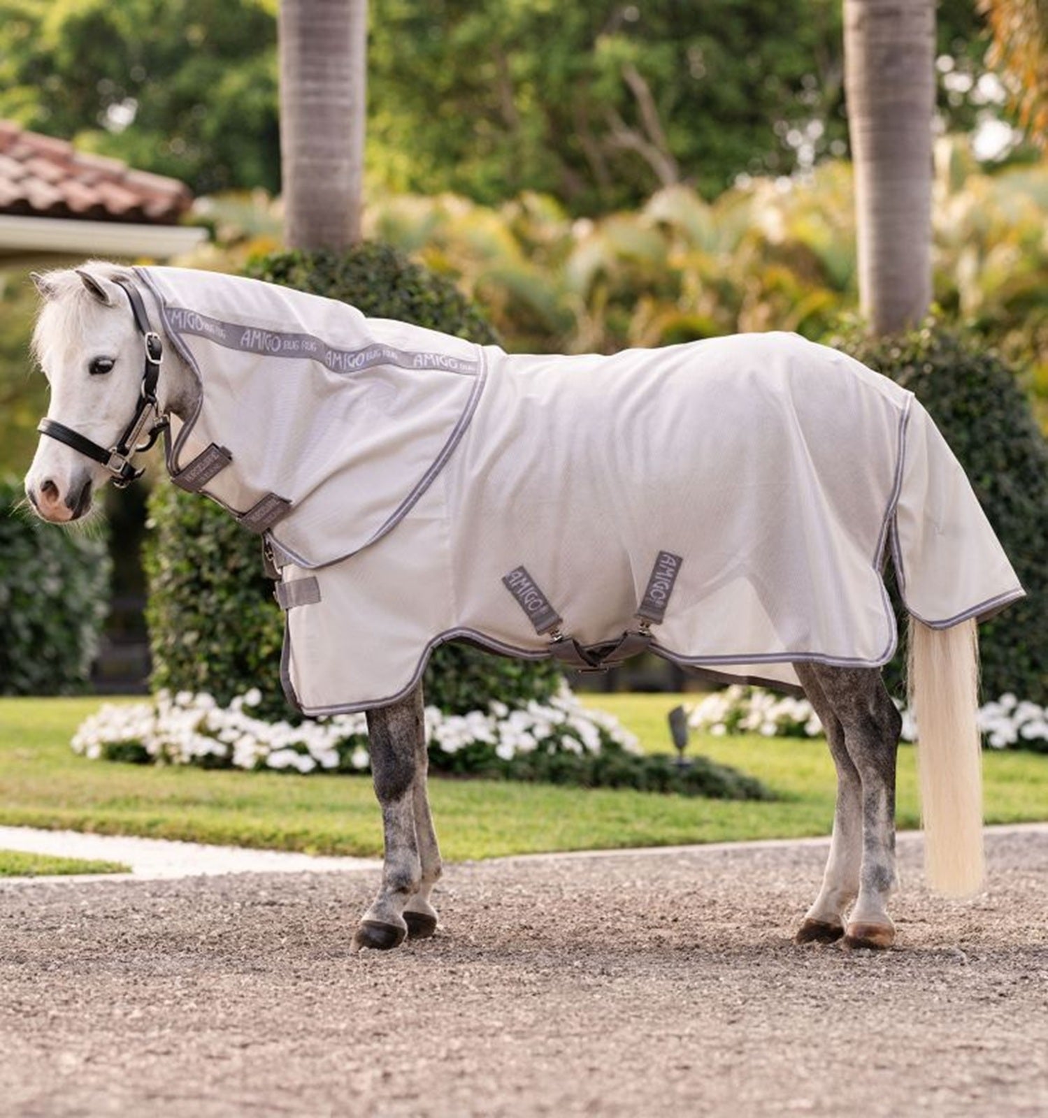 Amigo Bug Rug Plus Pony Fly Sheet – EquestrianCollections