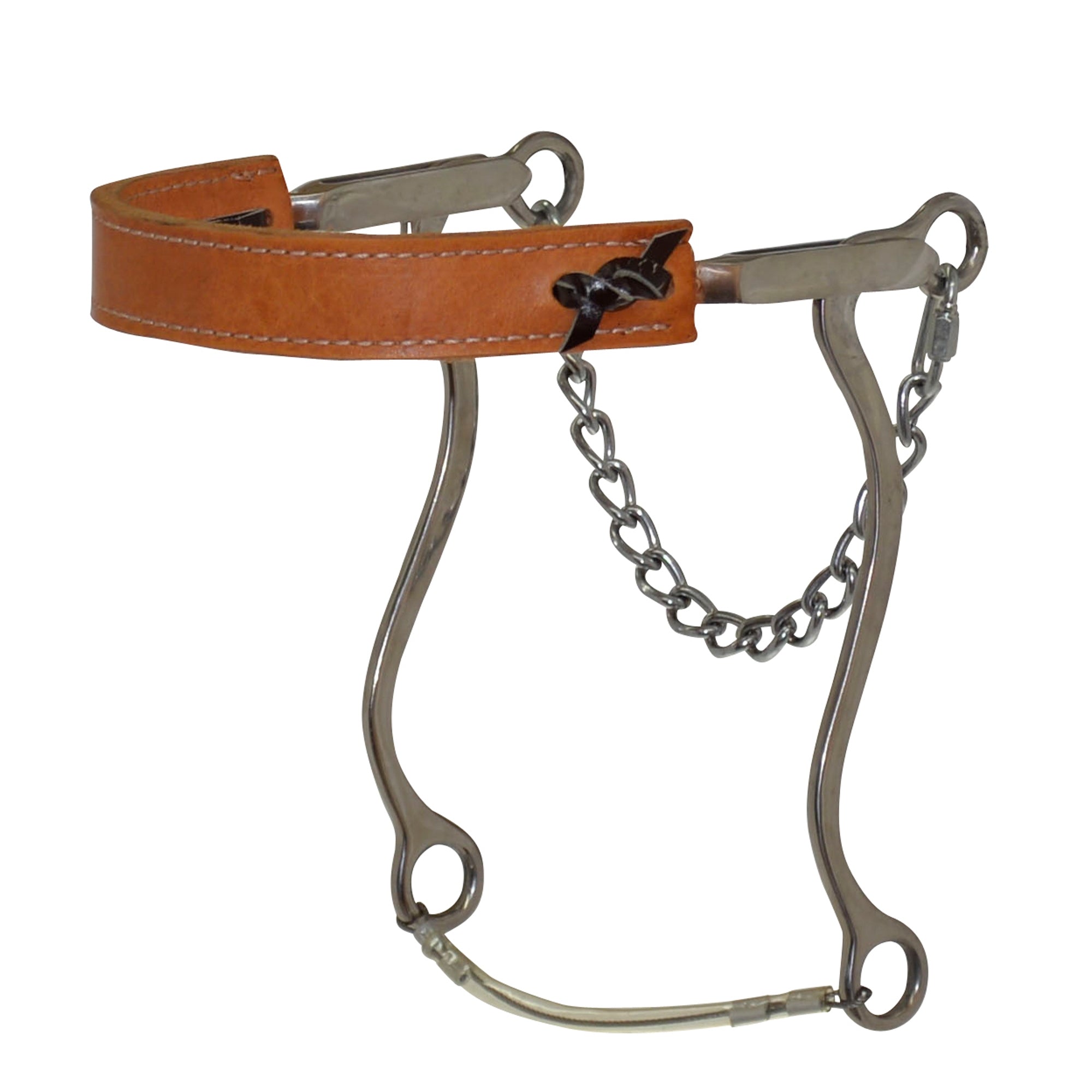 Reinsman Diamond R Flat Leather Nose Hackamore – EquestrianCollections
